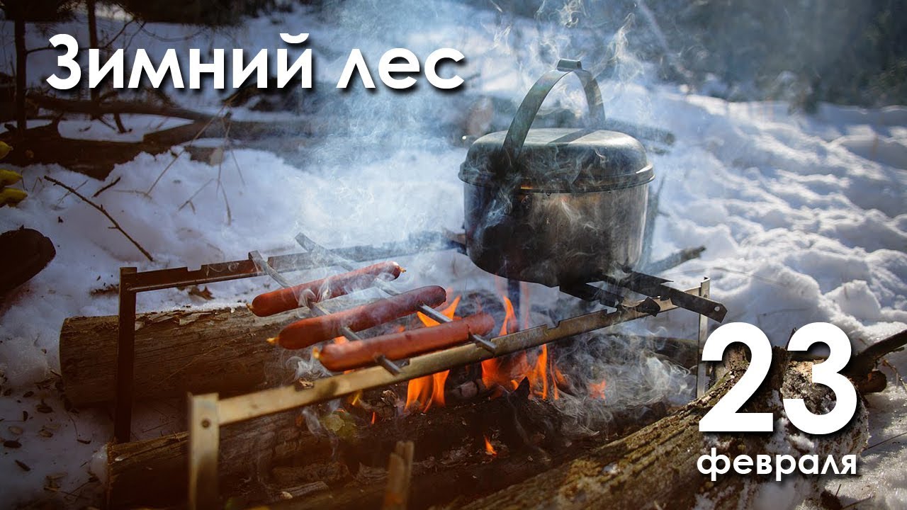 Зимний выход в лес 23 февраля 2018