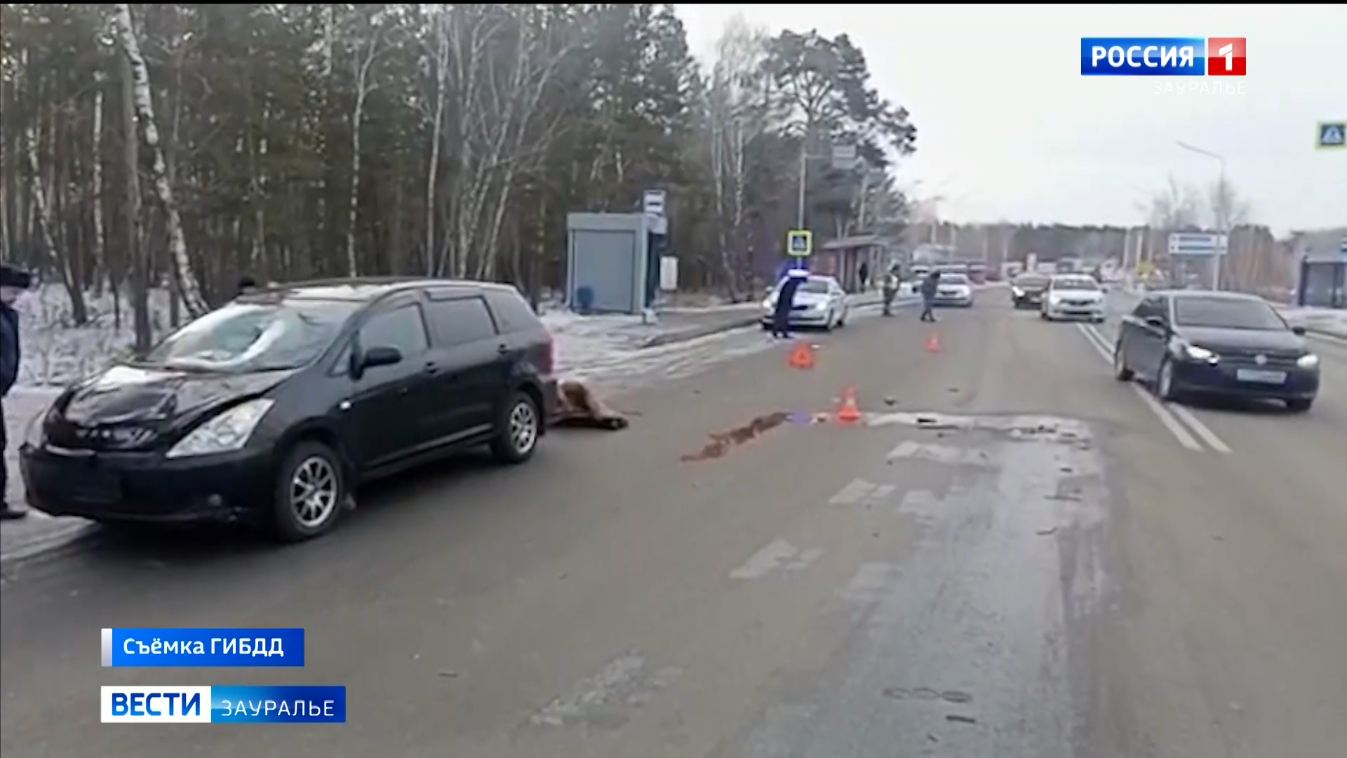 Сегодня утром в Кургане под колёсами иномарки погибла женщина-пешеход