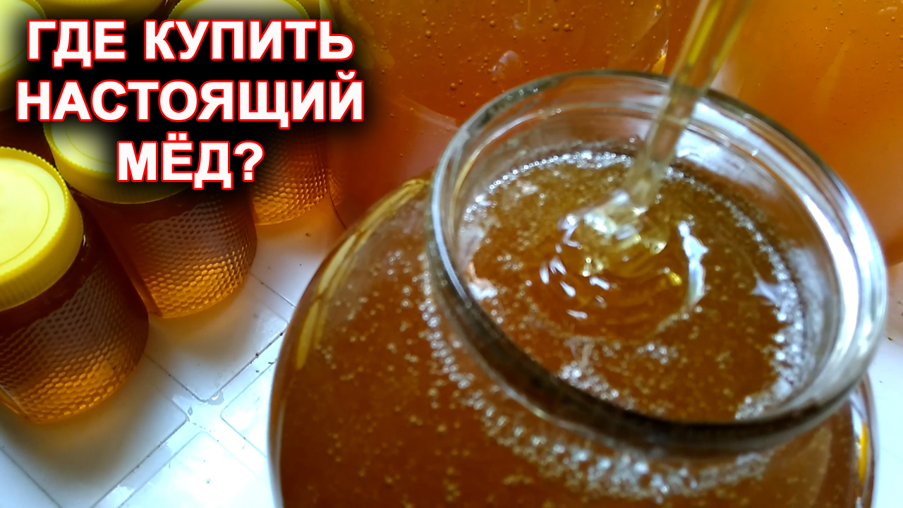 Где купить настоящий мёд?
