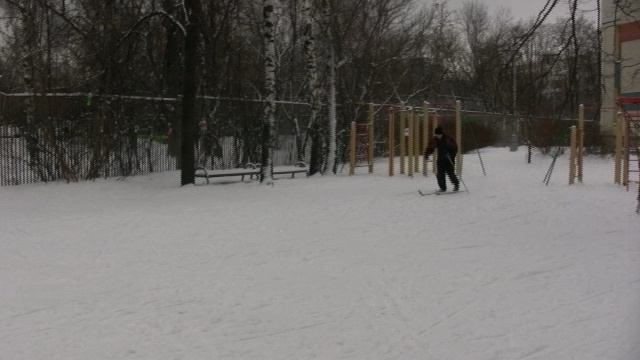 Попеременный двухшажный ход на лыжах
