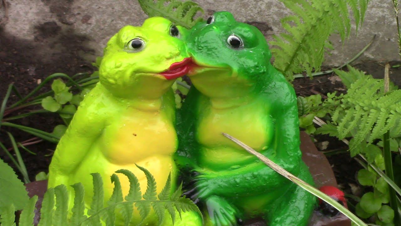 Неприхотливые почвопокровные в  саду.#цветы #сад #почвопокровныерастения #дача #многолетниецветы