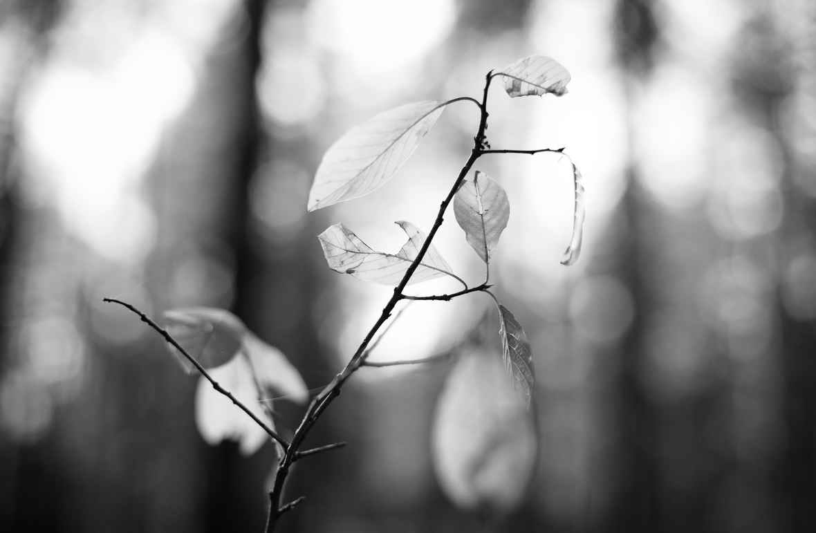 Что-то грустно