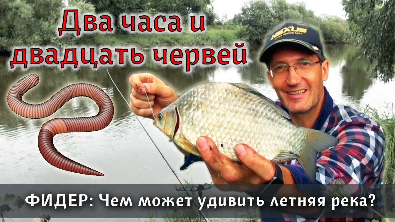 ФИДЕР челлендж: Что можно поймать на 20 червей за 2 часа в реке? Как ловить на фидер