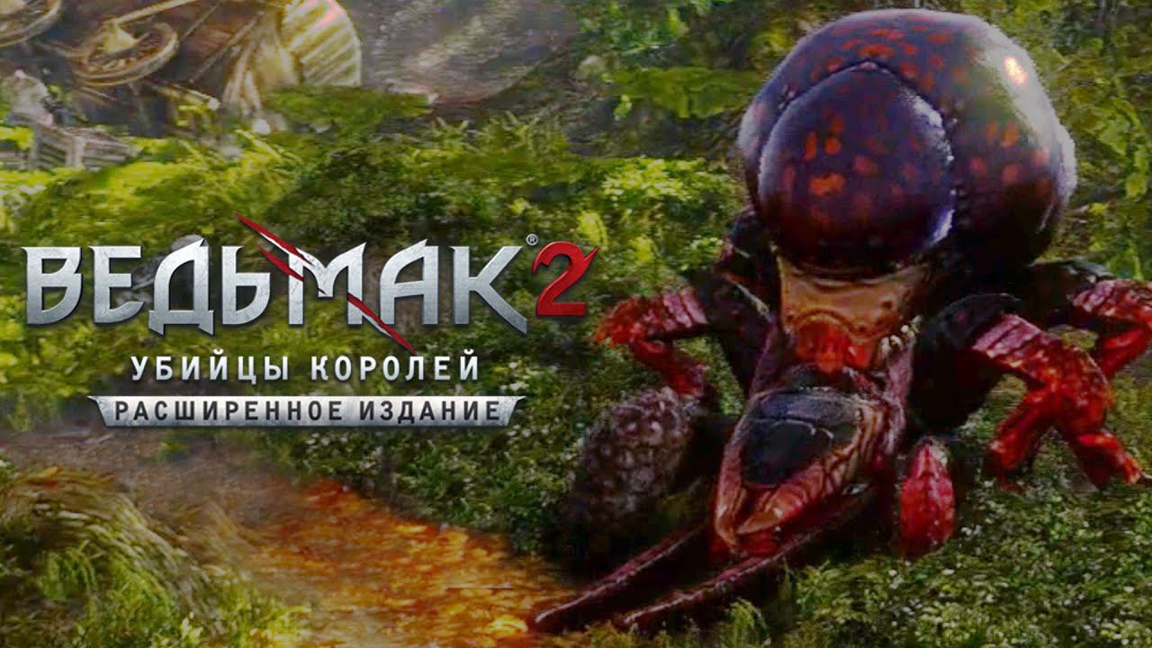 [#07] Прохождение Ведьмак 2: Убийцы королей на ПК ► ГОЛОВА ТРОЛЛЯ