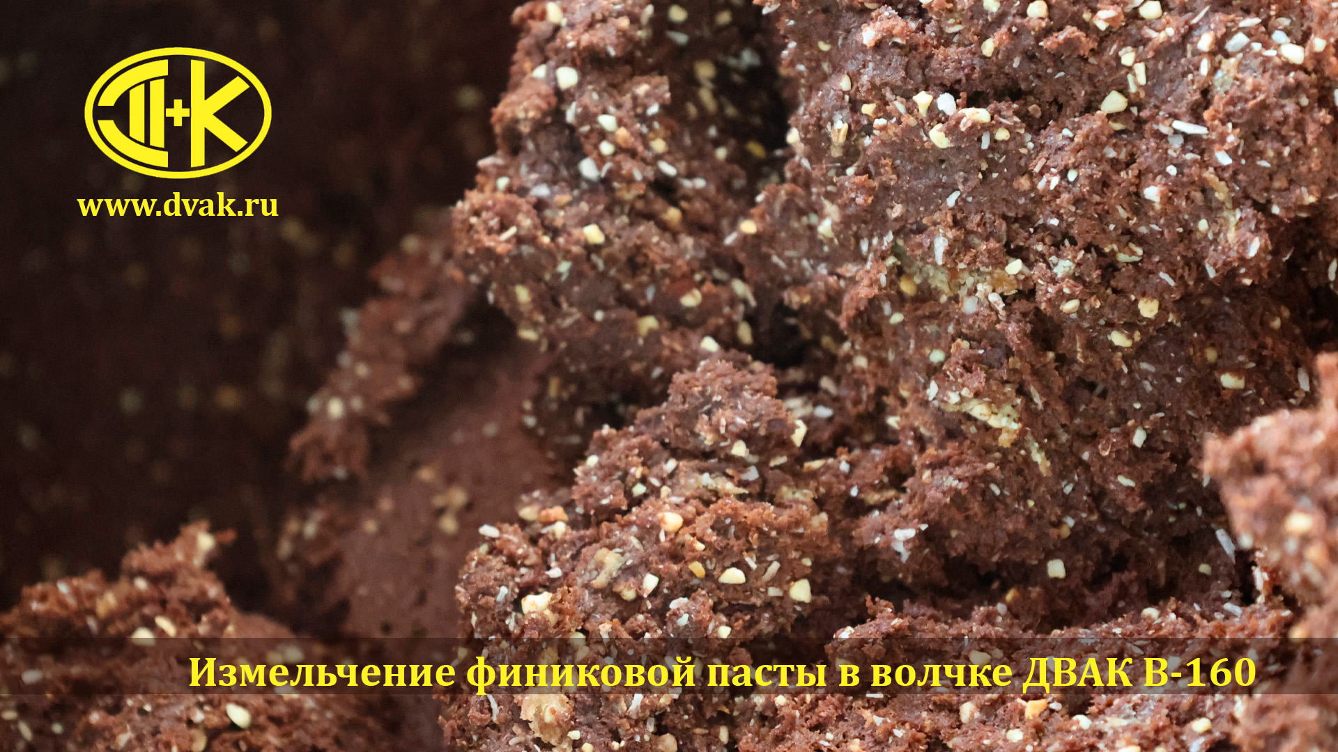 Измельчение фиников в волчке ДВАК  В 160-01