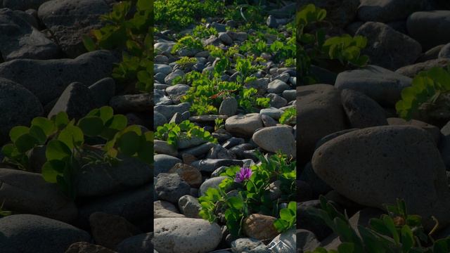 #nature #lovenature #relax #mikhail_yuryev