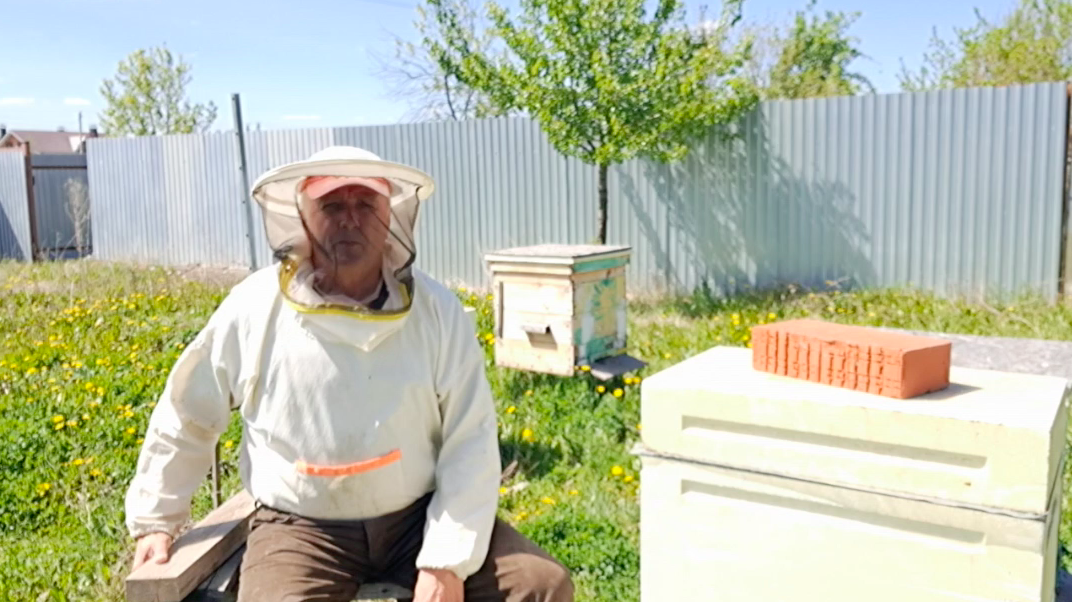 План подготовки пасеки к основному медосбору