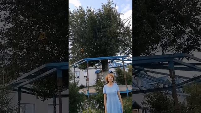 Мы строим город Будущего в сердце Владимирской Руси. Актив ГБ Митроград.