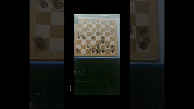 Шахматы. С девушкой-1