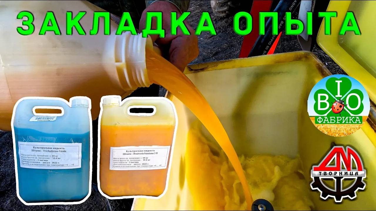 Закладка опыта МИКОРАД культуральной жидкости 13.10.22