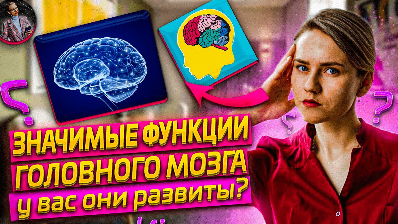 Про познавательные (когнитивные) функции головного мозга. Что к ним относится.