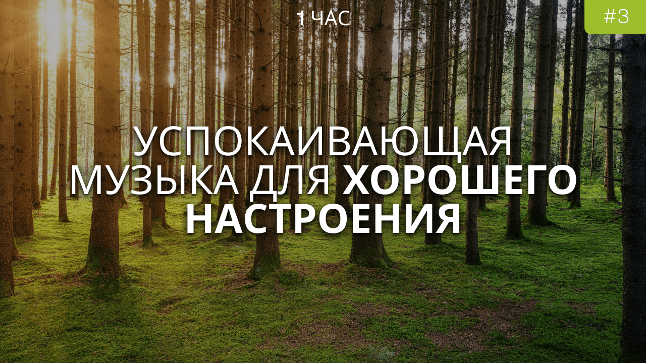 Успокаивающая музыка для хорошего настроения | Гитарная музыка и спокойный фон фортепиано ?