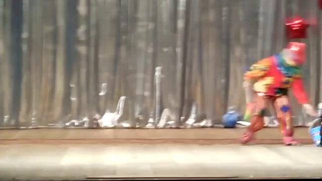 Цирк собака сцена