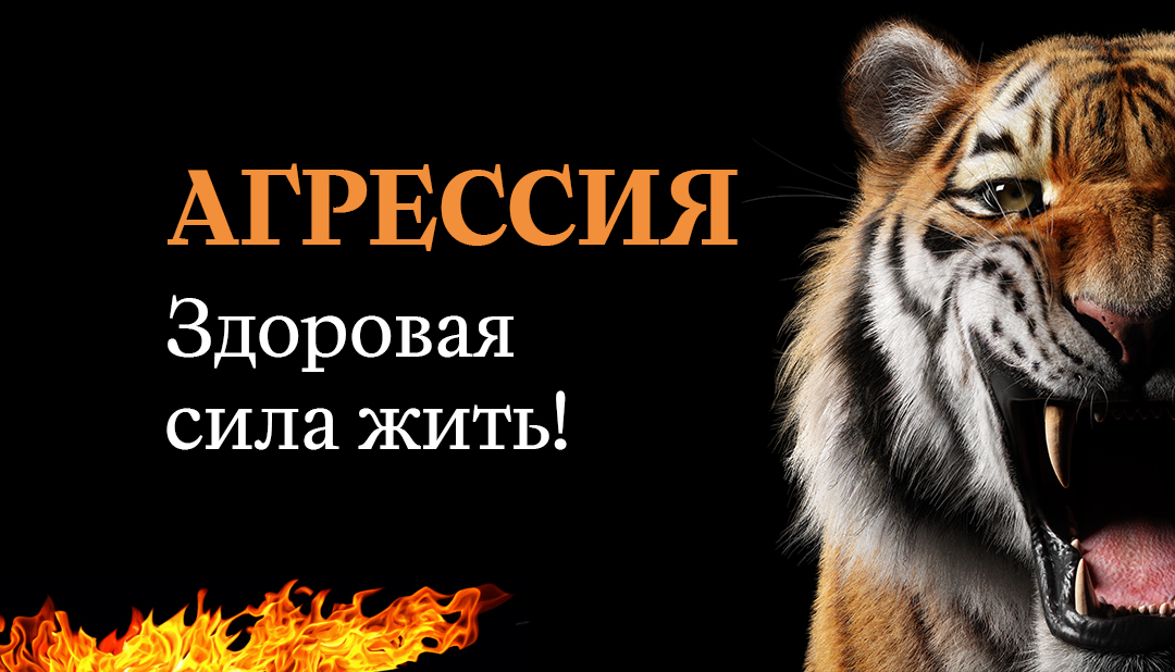 Агрессия - здоровая сила жить! #агрессия #агрессивность #силажизни #новыйвзгляд #прямойэфир