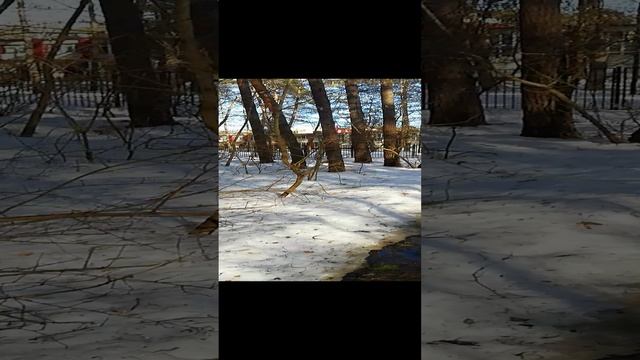 ПРИРОДА ОЖИВАЕТ.