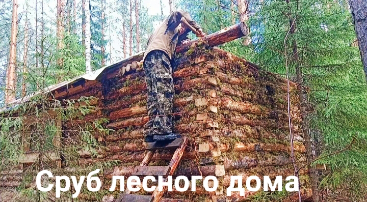 Лесная усадьба. Сруб лесного дома практически готов! Таежный быт. DIY