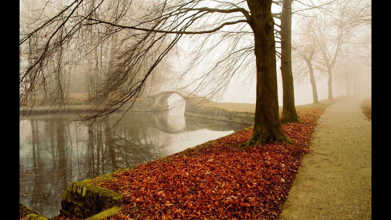 Облетают последние маки...