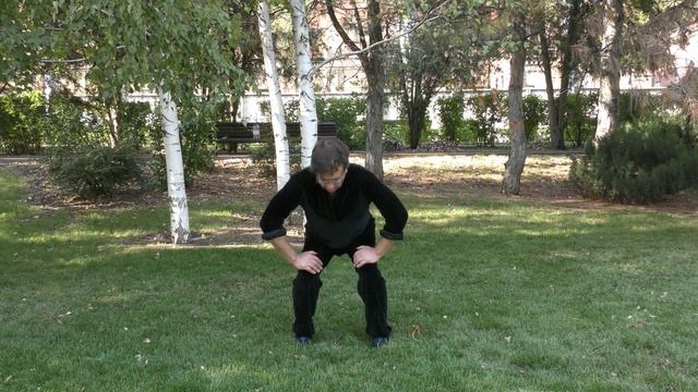 03 Таолу стиля Орлан и барс Китайская развертка