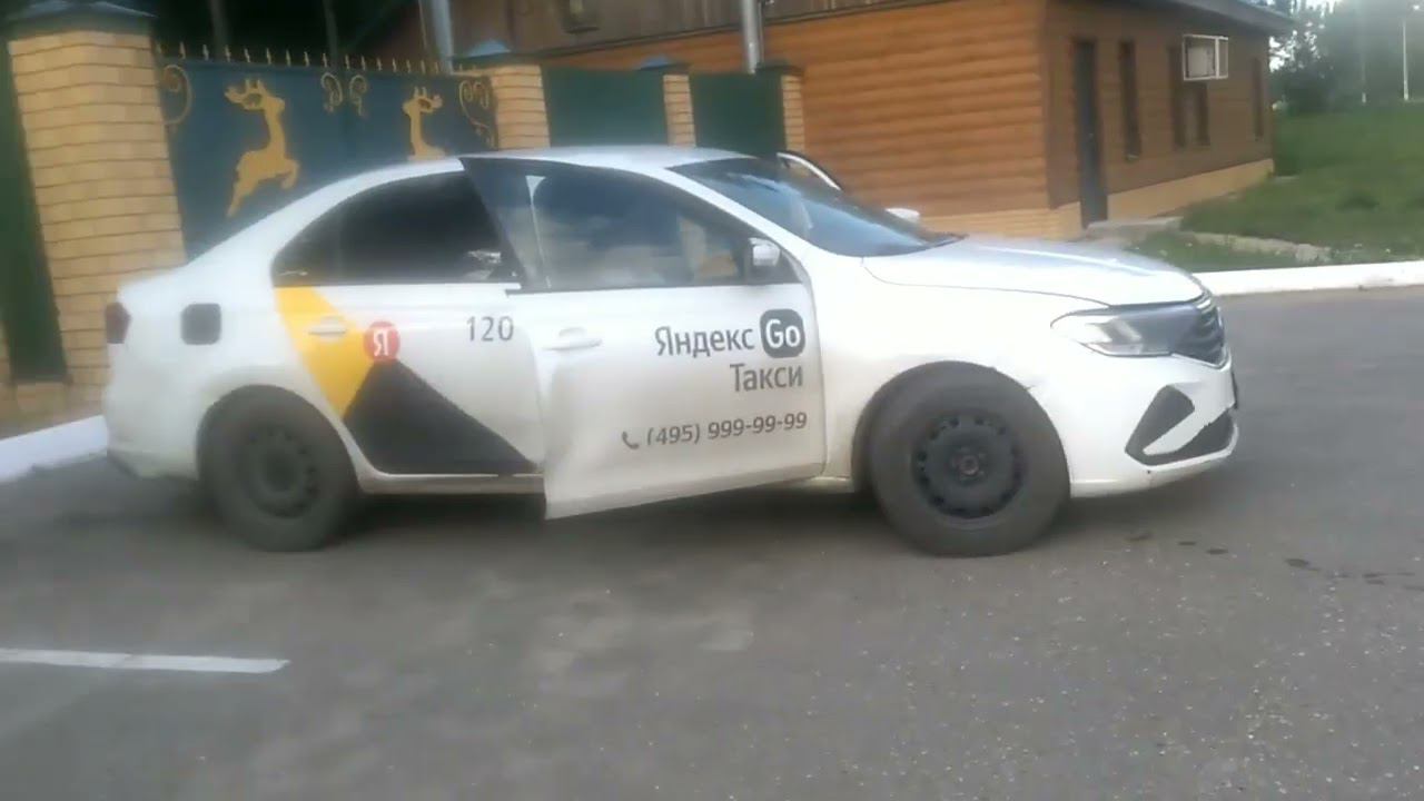 #кострома#ждуузоопарка