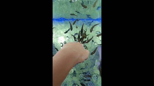 как я провожу день в отеле RINN RISE (Анапа)