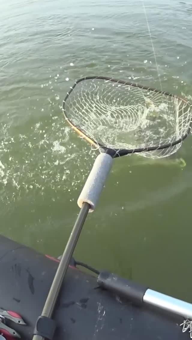 Не плахая ! Завели !