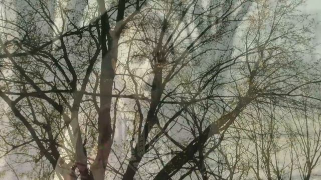 Симон Хорольский - Благослови душа моя Господа (христианская песня)