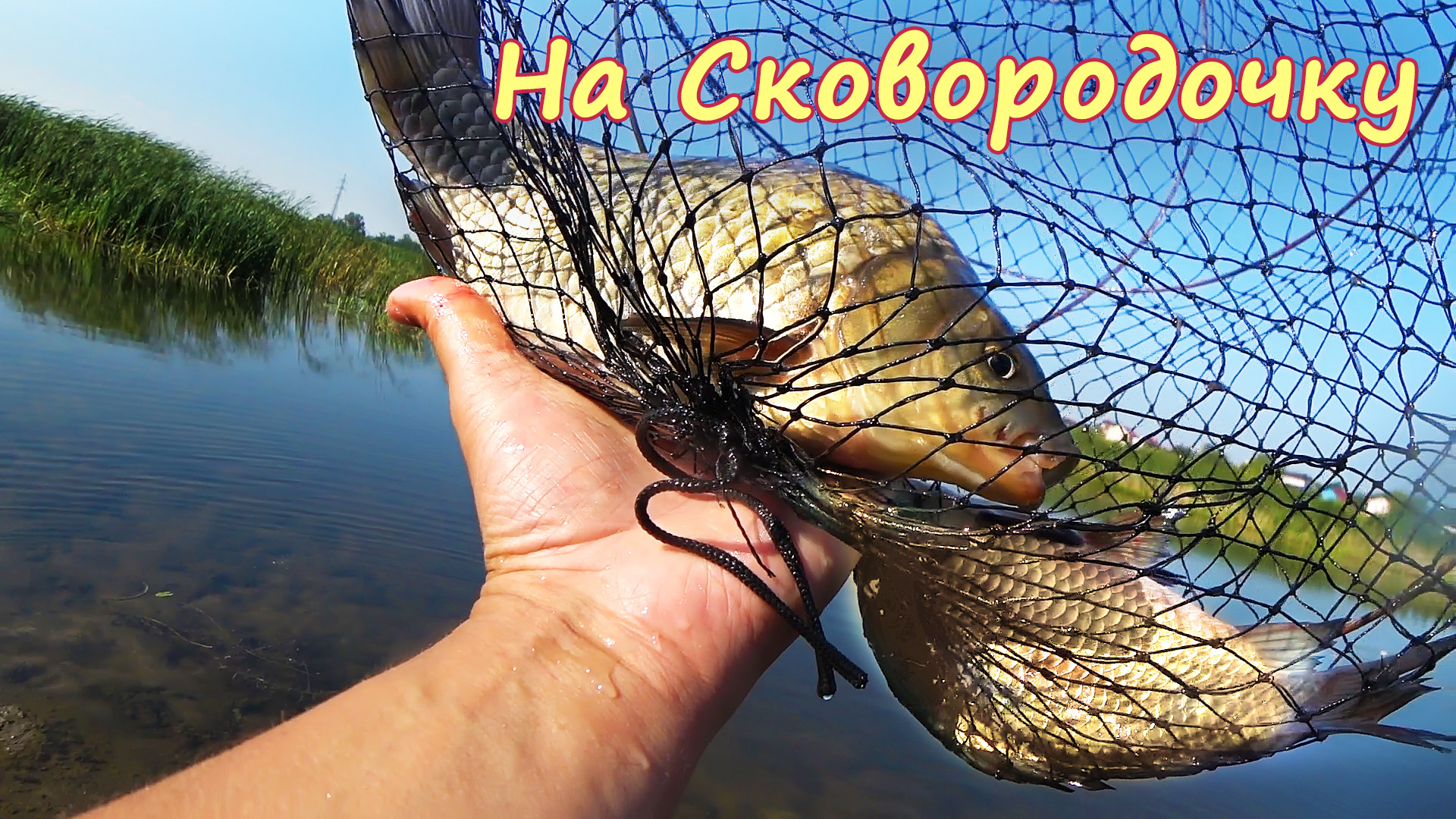 Велорыбалка ? ? Карась ? Мусор на берегу ??