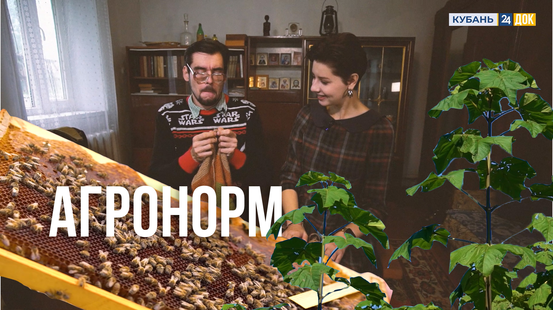 АГРОНОРМ. Пчёлы и деревья