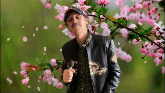 Вишня белая  - Красивая песня о любви.mp4