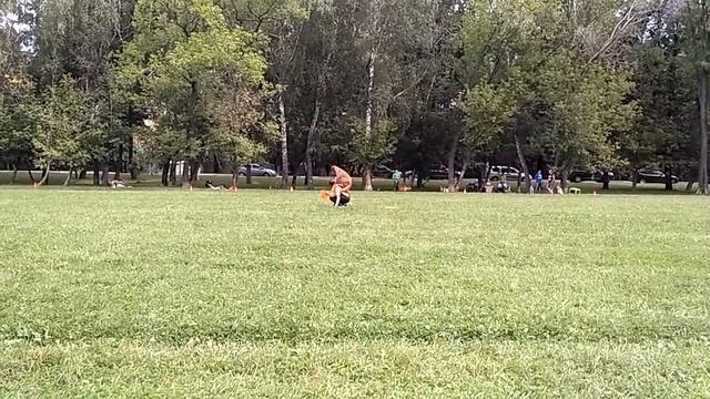 Фризби-Фристайл. Блиц - гран при класс Прогресс..mp4