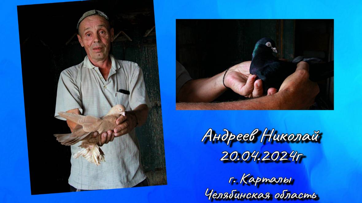 Андреев Николай Голубевод г Карталы/ 89507484198