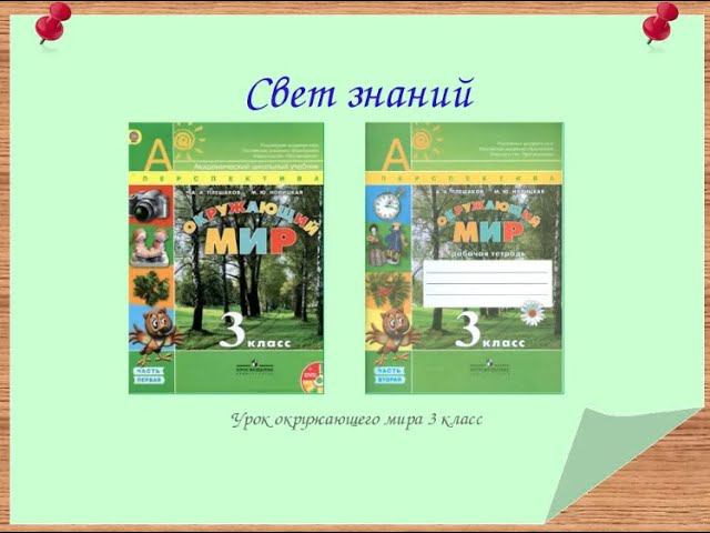 Свет знаний