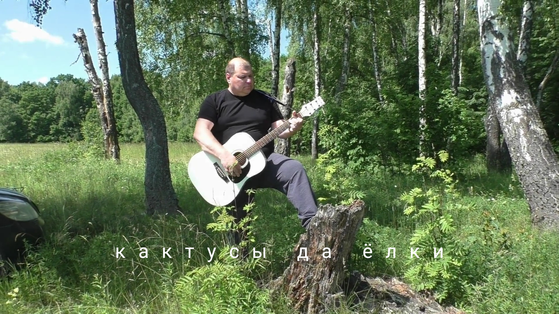 кактусы да елки