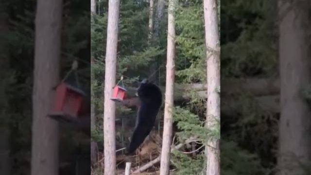 Столько усилий и всё зря