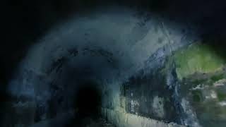 НОЧНОЙ ПОХОД | ЖУТКИЕ ТУНЕЛИ | ШАГИ В ЛЕСУ | ДОРОГА В БРОШЕННЫЙ ПОСЕЛОК ЖЕЛЕЗНОДОРОЖНИКОВ