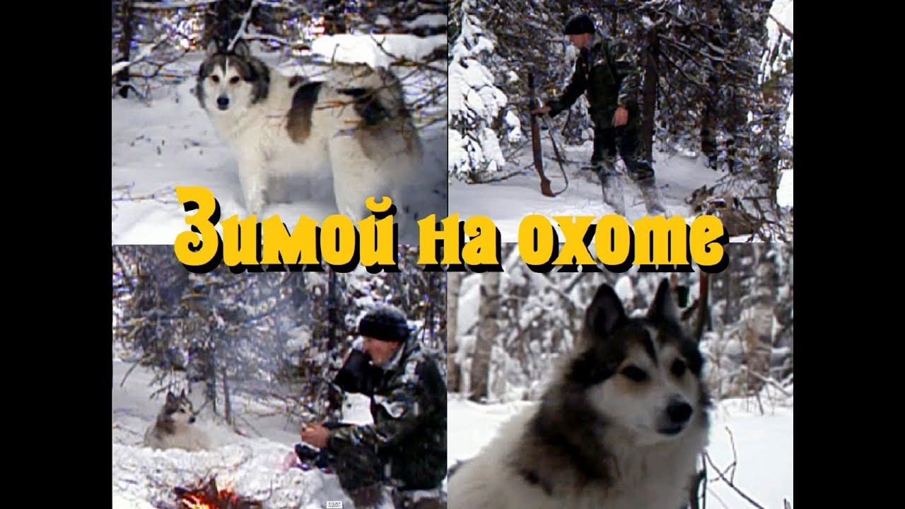 Зимой на охоте