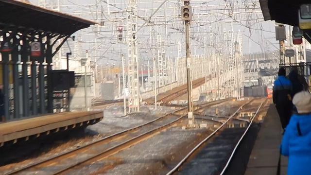 Реутов.16 03 24. DSCN1180