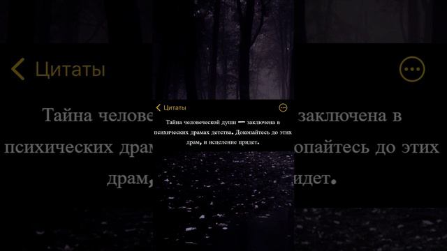 Цитата 2