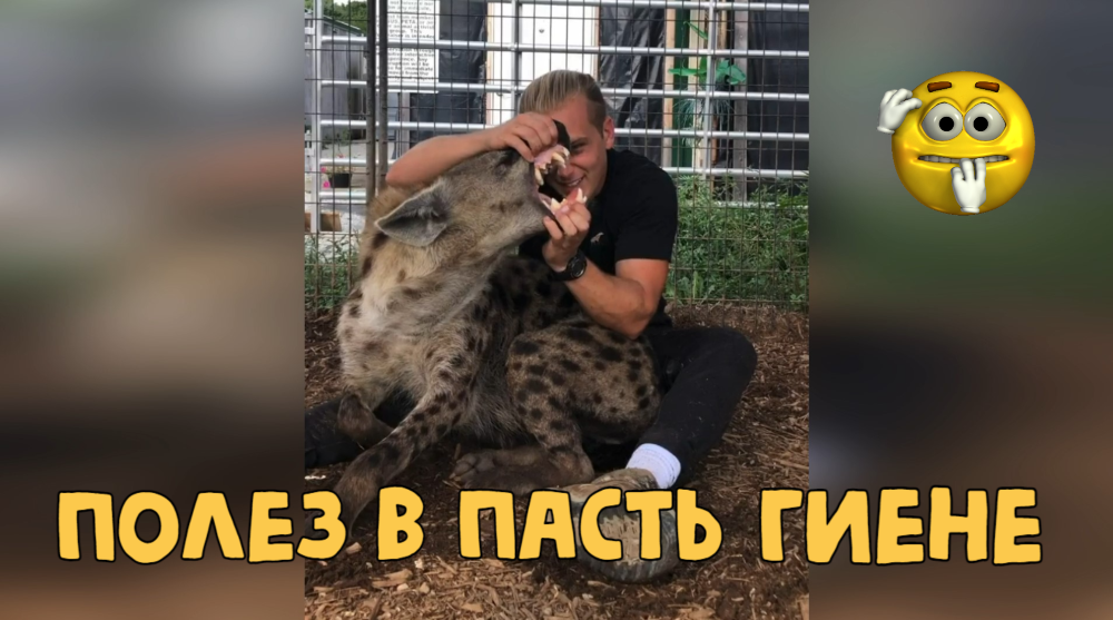 Классная подборка. Cool video series #14