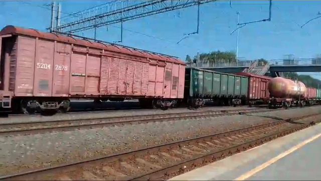 Объявление пригородного электропоезда сообщением Искитим-Новосибирск на станции Бердск