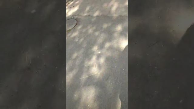 Скоро день РОССИИ!Вкратце всем привет!Видео с прошлого года!