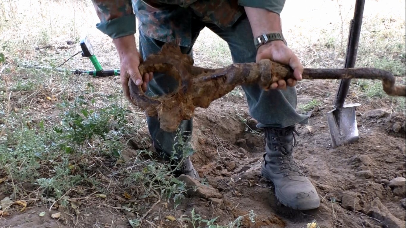 Что-то нашёл и повстречал лошадок...