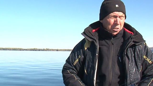 Щука в коряжнике