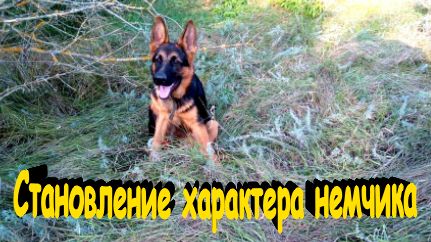 Подруги молоденького немчика. Передержка