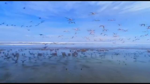 Уходя оставьте свет