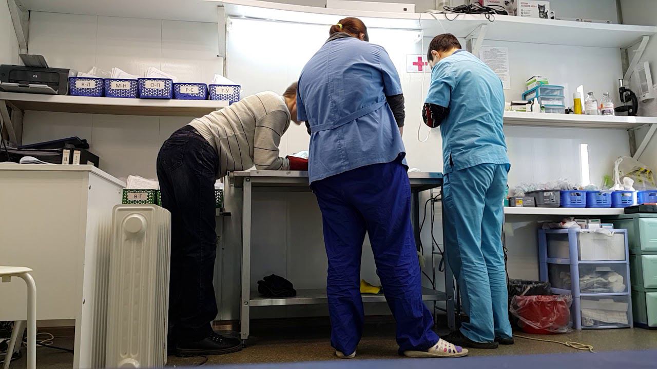 7 минут ужаса или Аська в клинике.