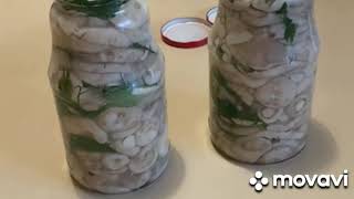 ‼️СОЛЕНИЕ ГРУЗДЕЙ ХОЛОДНЫМ СПОСОБОМ НА ЗИМУ?❗РЕЦЕПТ ОТ ОЛЬГИ?‼️