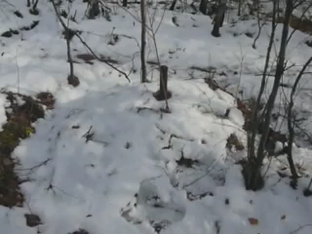 Деревянная вышка в тайге. Часть 2