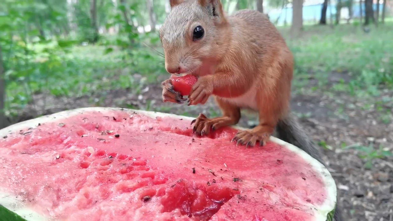 18 августа 2023 г.