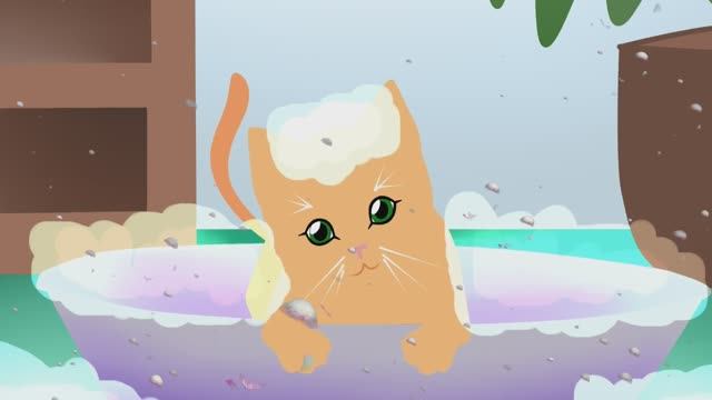 Не пройдите мимо нас